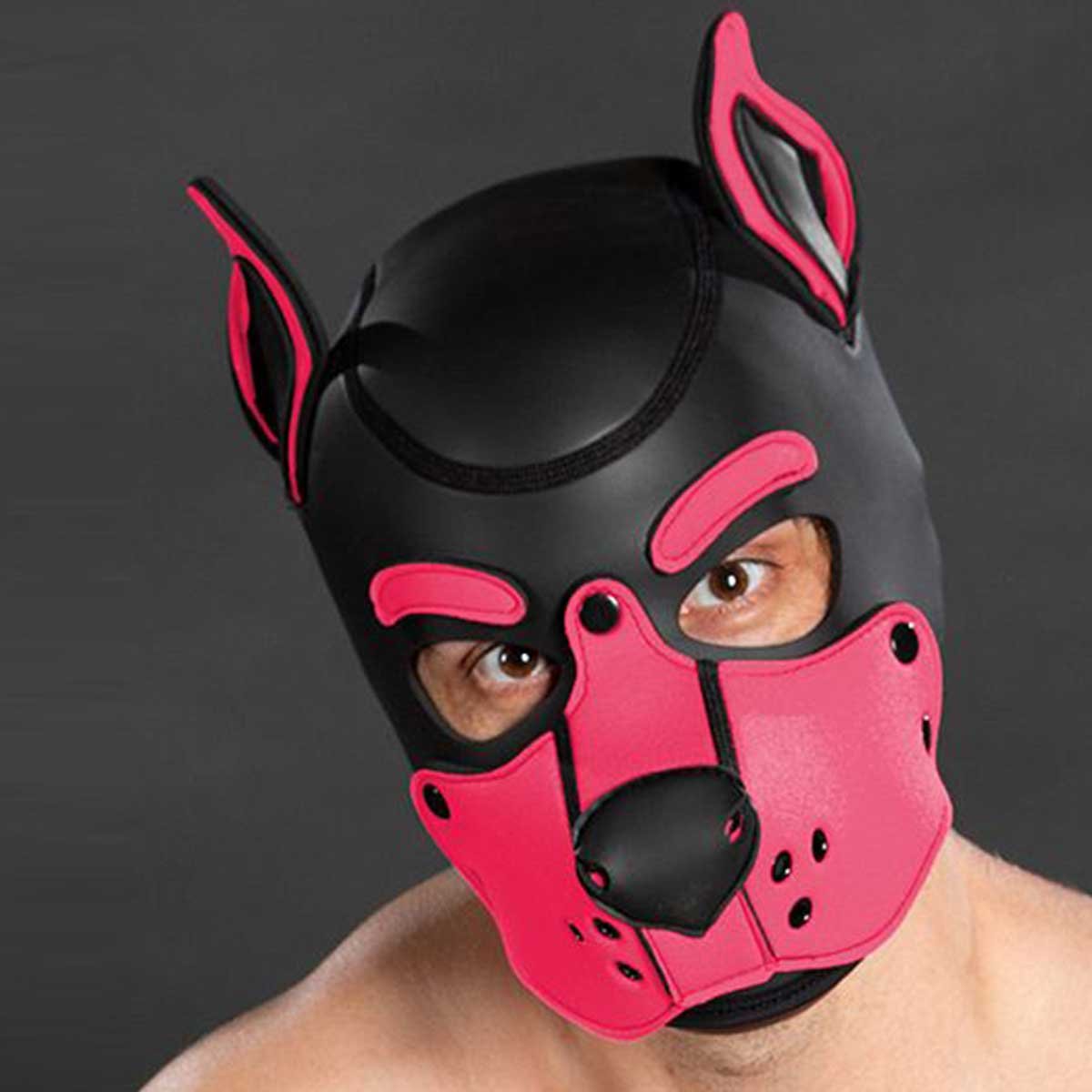 Mr S Leather Neoprene K9 Puppy Hood Black Pink – FETCH