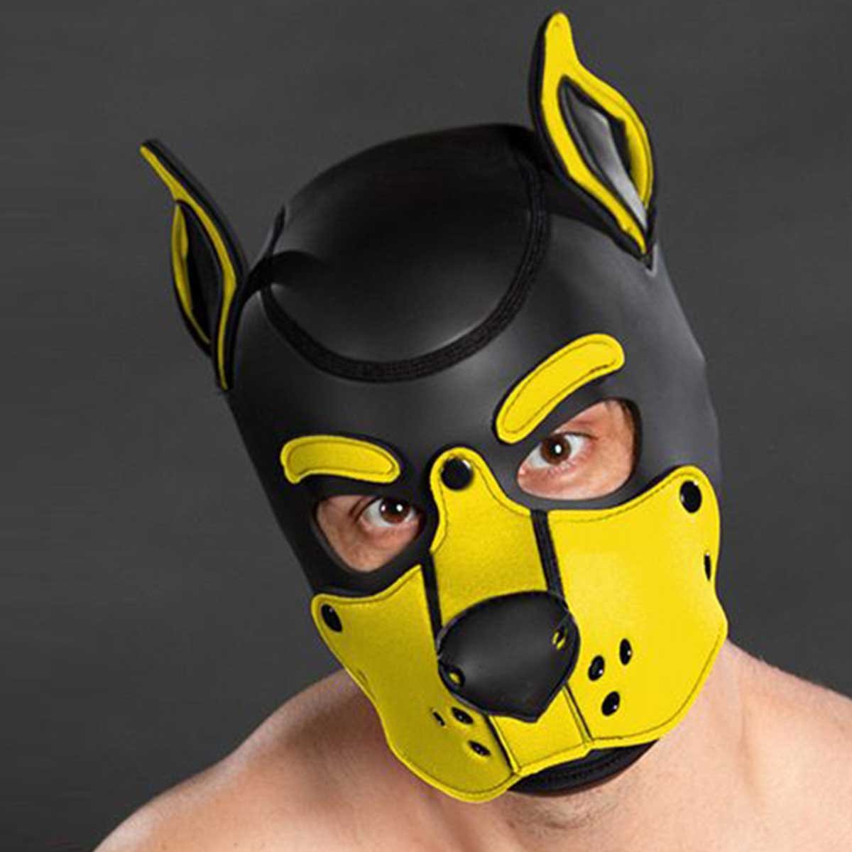 Mr S Leather Neoprene K9 Puppy Hood Black Yellow – FETCH